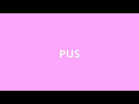 what is the meaning of PUS