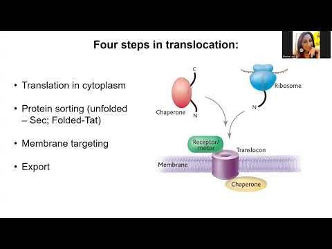 Unit 4 Protein mobilization Lecture 1