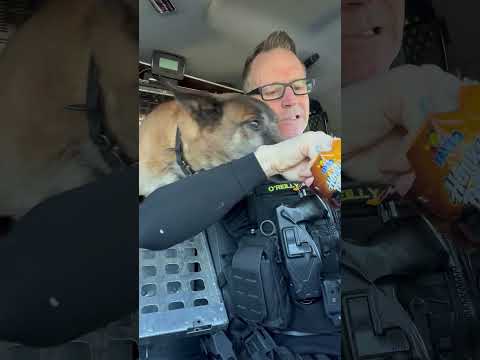 Taytos with Radar