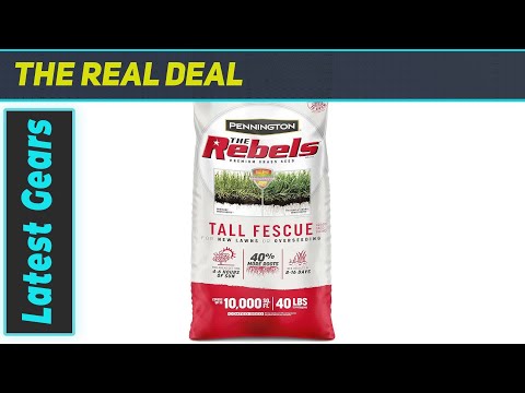 Pennington The Rebels Tall Fescue: The Toughest Grass Seed?