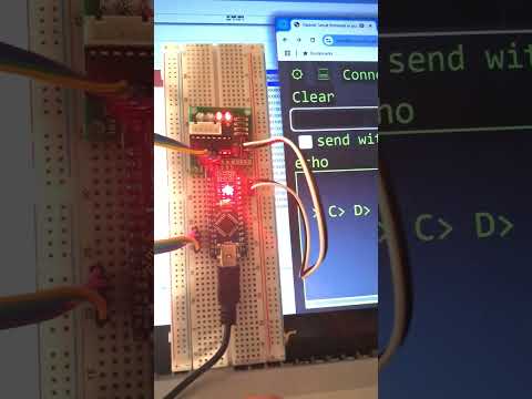 ASCII to LED: Understanding Binary with ATmega328 and Assembly