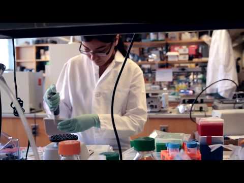 MIT Summer Research Program