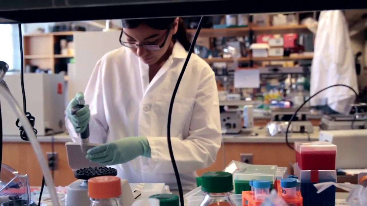 MIT Summer Research Program