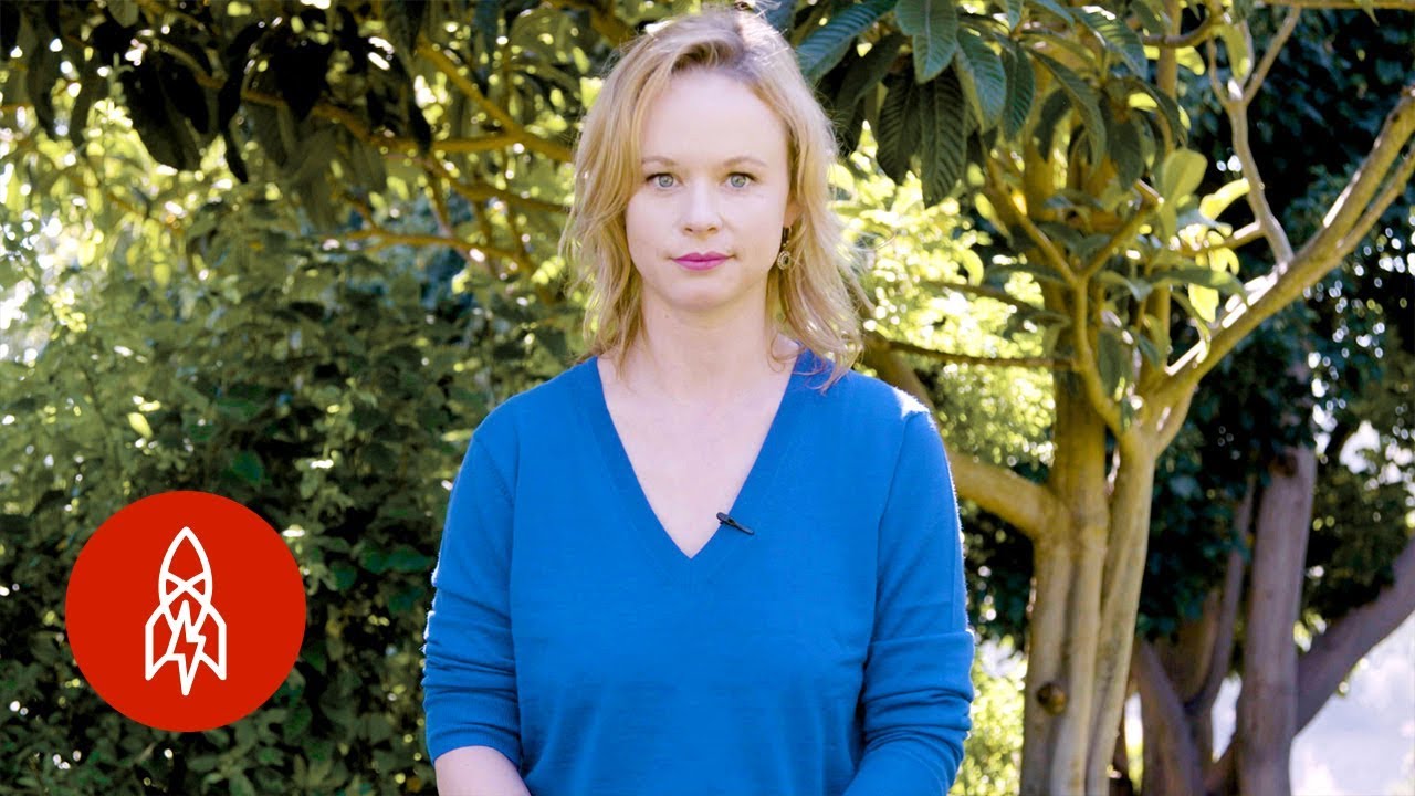 Then and Now With Thora Birch
