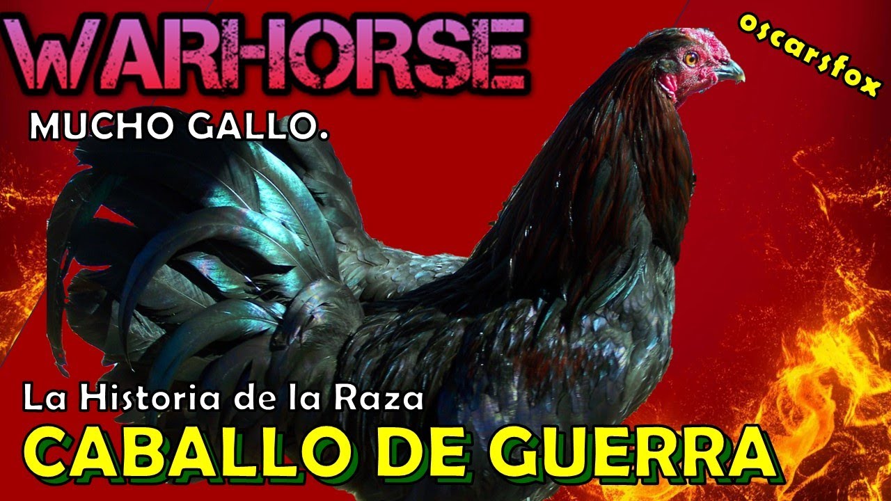 WARHORSE breed of fine chickens Roosters History and Characteristics