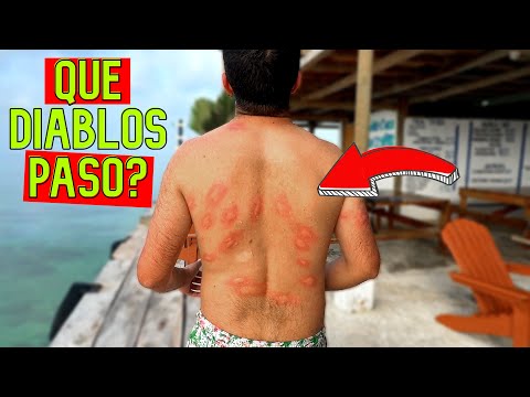 En 2 minutos TODO SE FUE AL C4RAJO