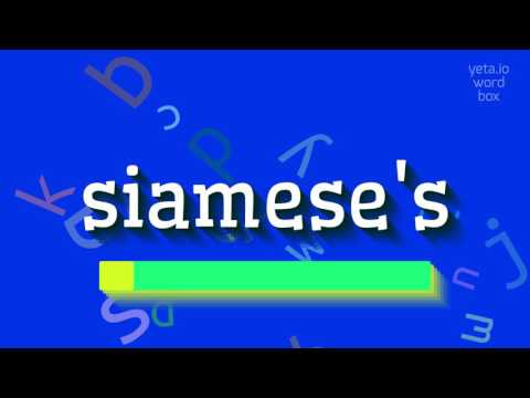 How to say "siamese's"! (High Quality Voices)