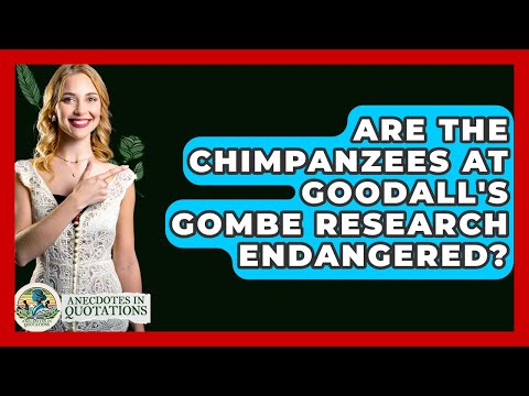 Are The Chimpanzees At Goodall's Gombe Research Endangered? - Anecdotes in Quotation