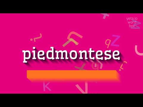 How to say "piedmontese"! (High Quality Voices)
