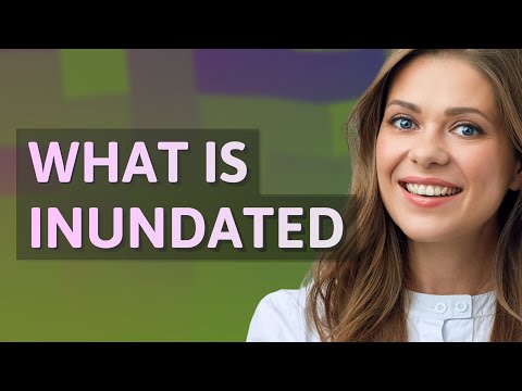 Inundated | meaning of Inundated