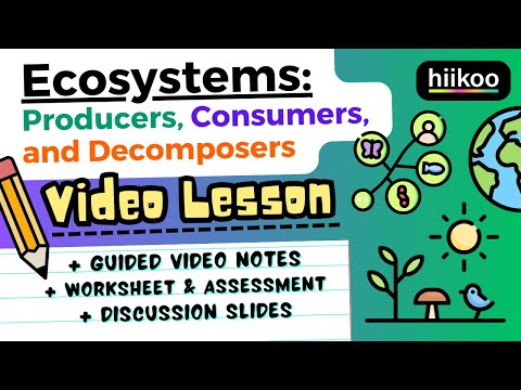 Ecosystems & Food Webs for Kids! (Producers, Consumers, Decomposers) 5-LS2-1 🌱🪱🦅
