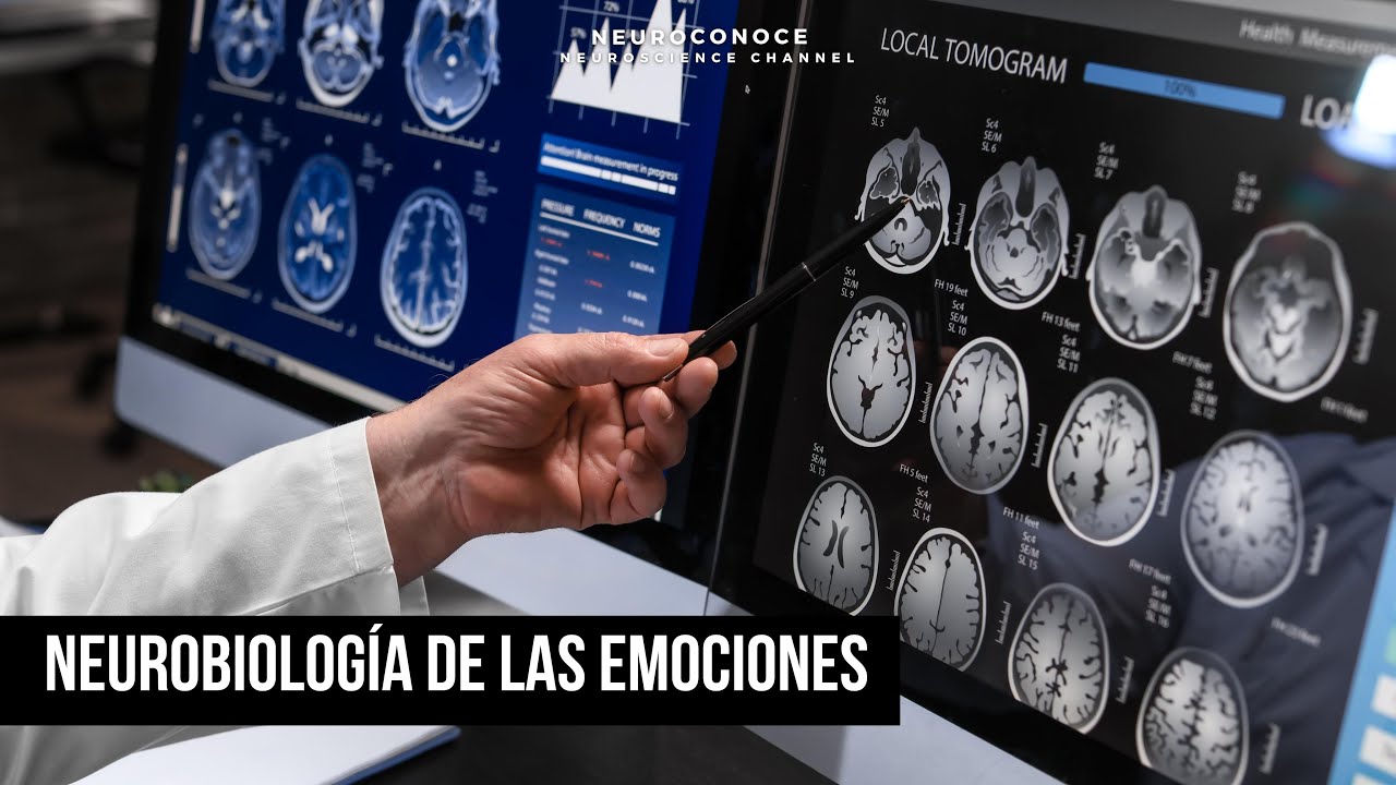 Neurobiology of Emotions: Exploring human emotions from a neuroscientific perspective.