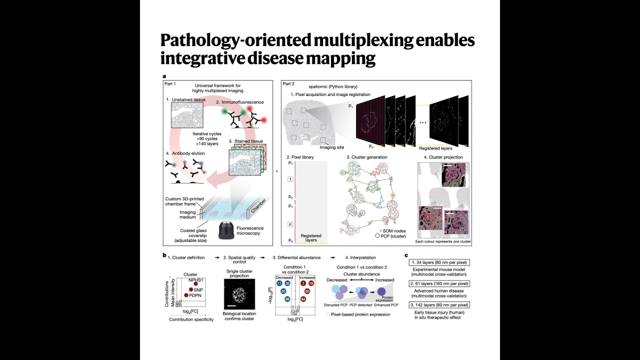 124-PathoPlex: Spatial Proteomics Mapping