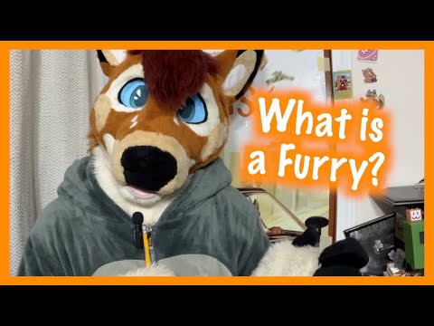 What is a Furry?