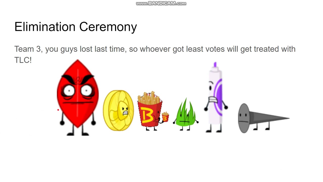 BFDI RC Voting Episode 4