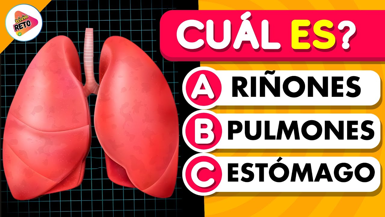 Guess the PARTS and ORGANS of the Human Body 🫁🦴️🤔 | Anatomy Quiz 🫀 | Trivia Challenge ✅