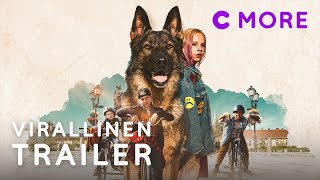 Susikoira Roi - elokuva: suoratoista netissä