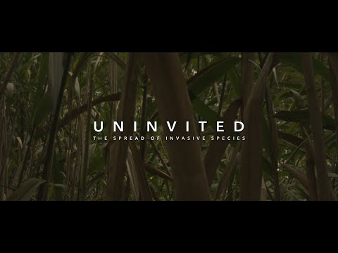 Uninvited: The Spread of Invasive Species Trailer