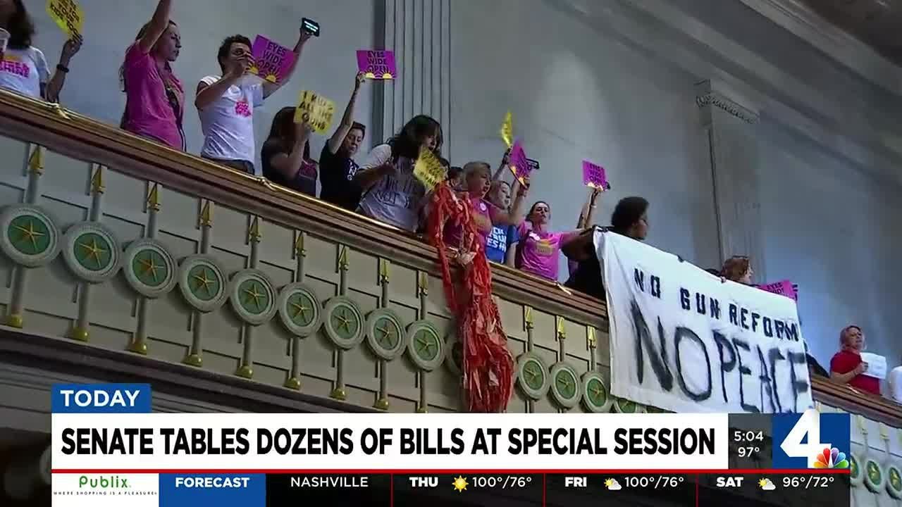 Senate tables dozens of bills at special session