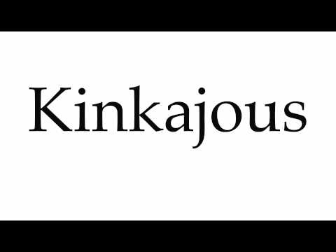How to Pronounce Kinkajous
