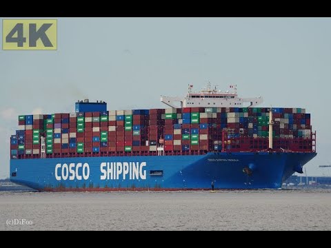 COSCO SHIPPING NEBULA - Shipspotting Germany 🇩🇪 IMO 9795622 - River Elbe near Otterndorf - 4K VIDEO