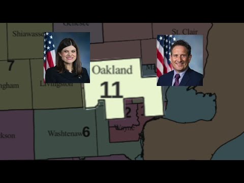Democratic incumbents Levin, Stevens face off for Michigan's 11th Congressional District