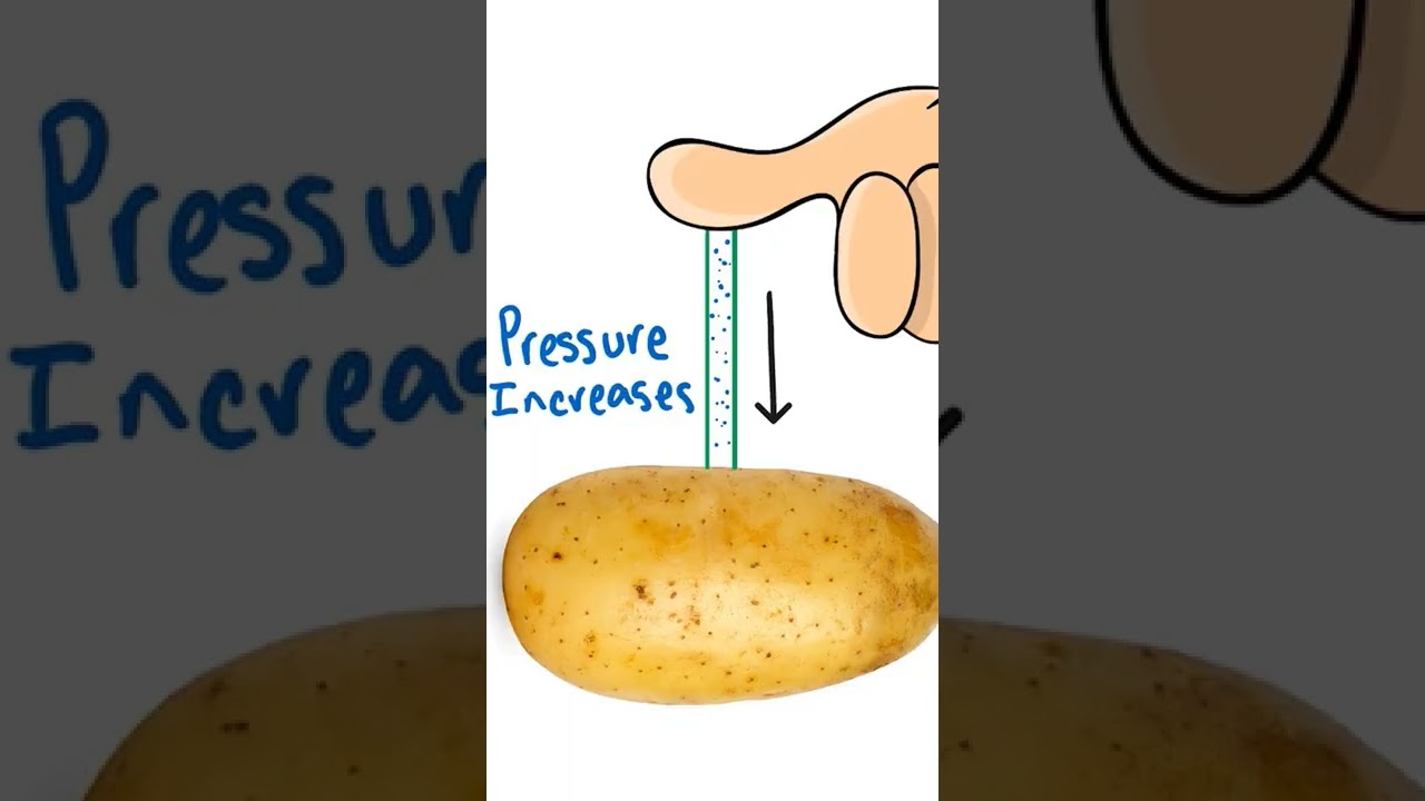 How gullible are you? #science #shorts #2truthsandtrash #round3