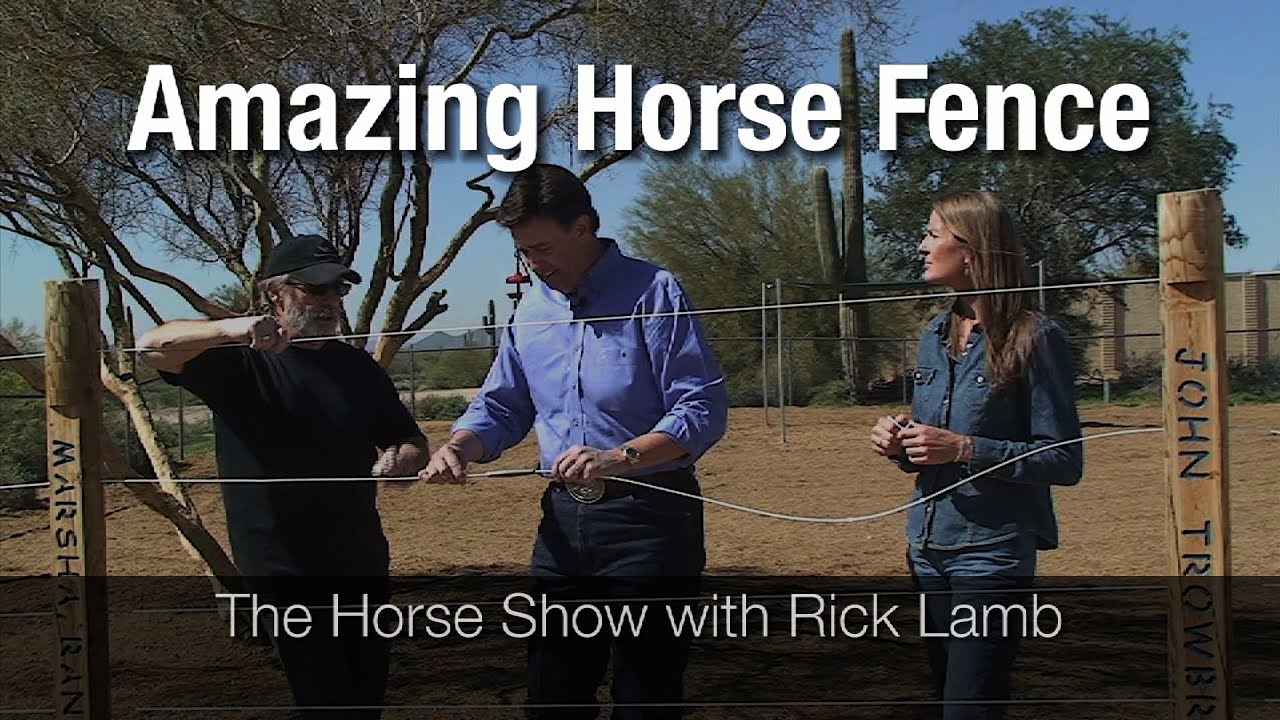 Amazing Horse Fence