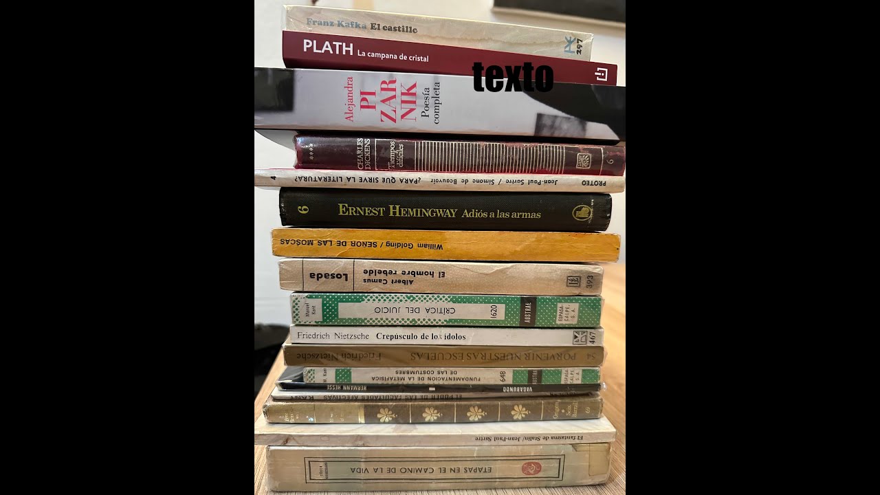 Más libros para la colección Kiergegaard, Kafka, Dickens, Silvia Plant, Nietzsche, Sartre, Beauvoir