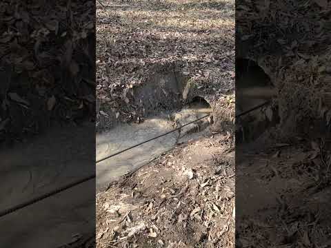 culvert pipe cleaning. check out my other videos!