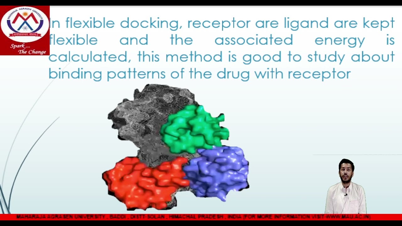 Molecular Modelling and Virtual Screening Techniques “MOLECULAR DOCKING” | MAU Baddi