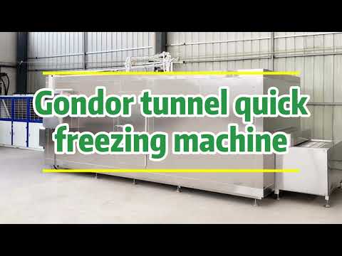 Transform Your Production Line with Gondor IQF Tunnel Freezer | Superior Quick Freezing Solutions