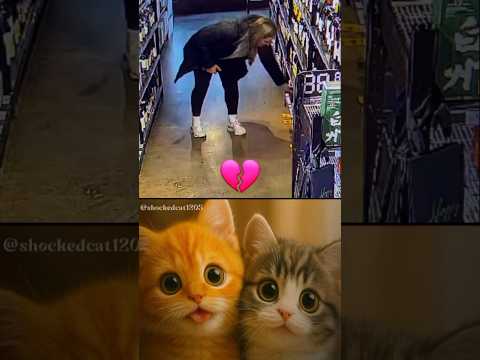 CCTV#cat #amazingmemes #funny #memes
