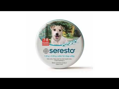 Bayer Seresto Tick Flea Collar For Small Breed Dogs upto 8 kg