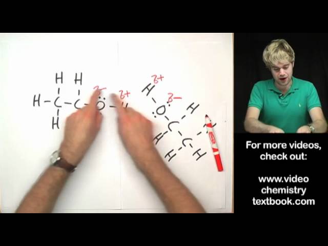 Understanding Hydrogen Bonding: Common Mistakes and Key Concepts | Galaxy