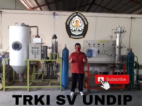 Piperin Obat COVID-19