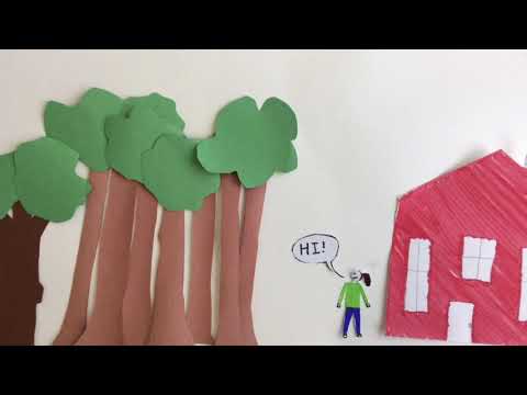 Temperate Forests