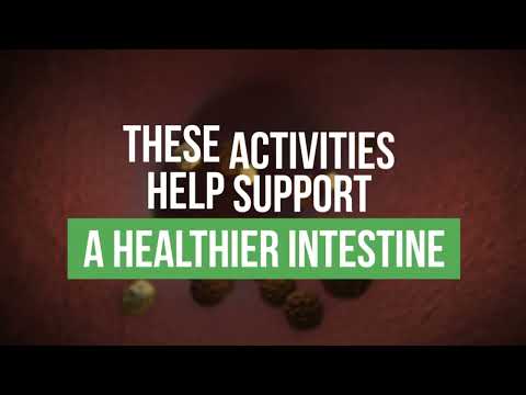 Product Overview: Integri-Phi®