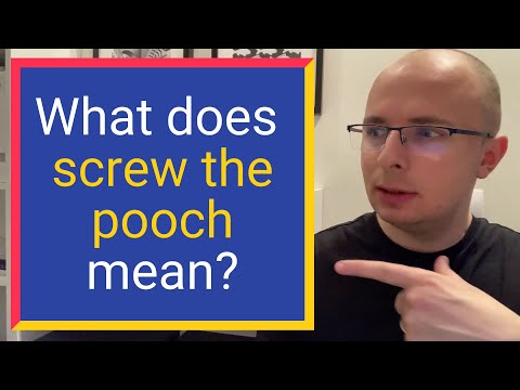 What does SCREW THE POOCH mean? Find out Definition and Meaning