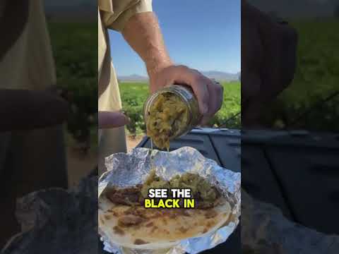 575 Big Jim Hatch Green Chile