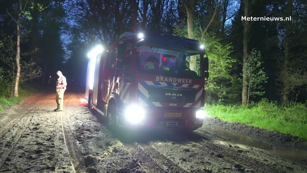 Natuur en bosbrand Nationaal park Dwingelerveld(Video)