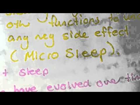 Theories of Sleep - Essay Plan