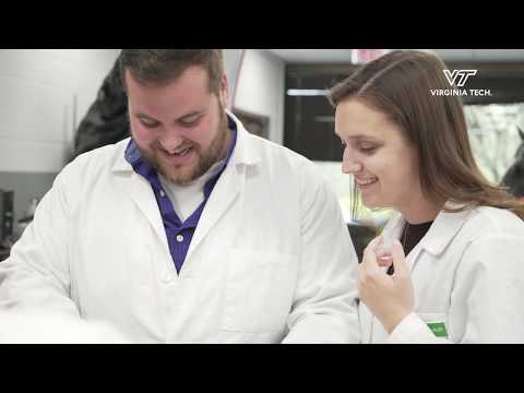Team learning in the DVM program