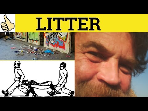 π΅ Litter - Litter Meaning - Litter Examples - Litter Definition