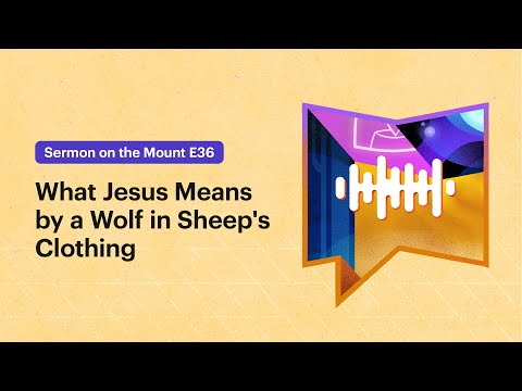 What Jesus Means by a Wolf in Sheep's Clothing