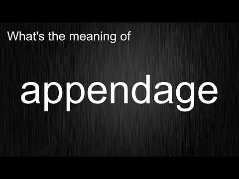 What's the meaning of "appendage", How to pronounce it?