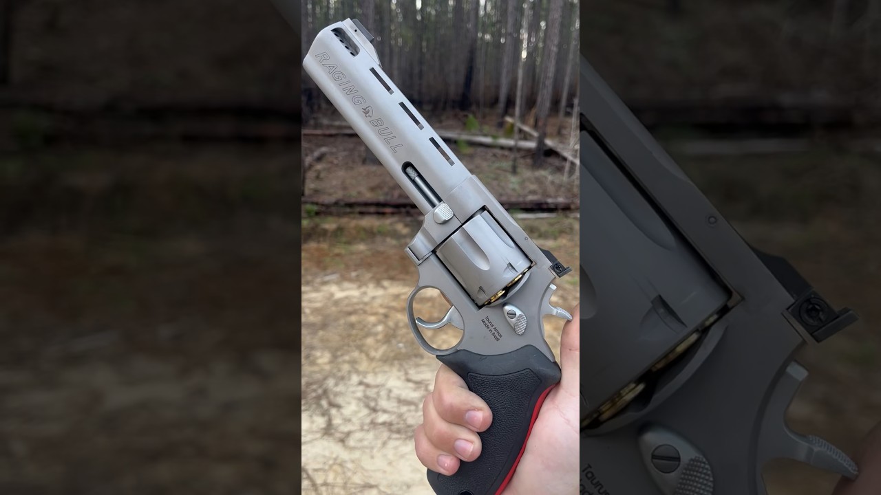 Taurus raging bull 444 ( .44 magnum )
