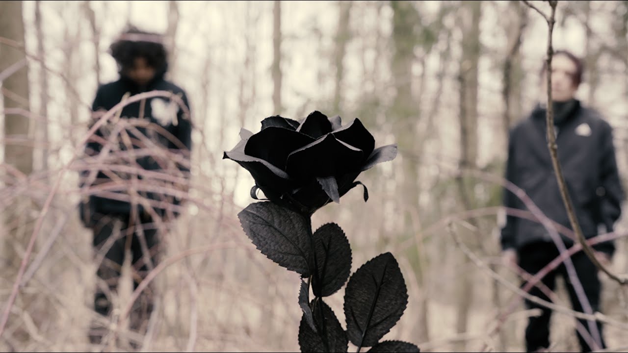 never easy - show me (official video)