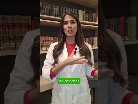 ¿Cómo son las picaduras de las chinches?