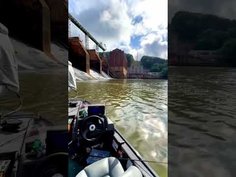 Bass Tracker cruising the river! #trackerboats #fishing #boatlife